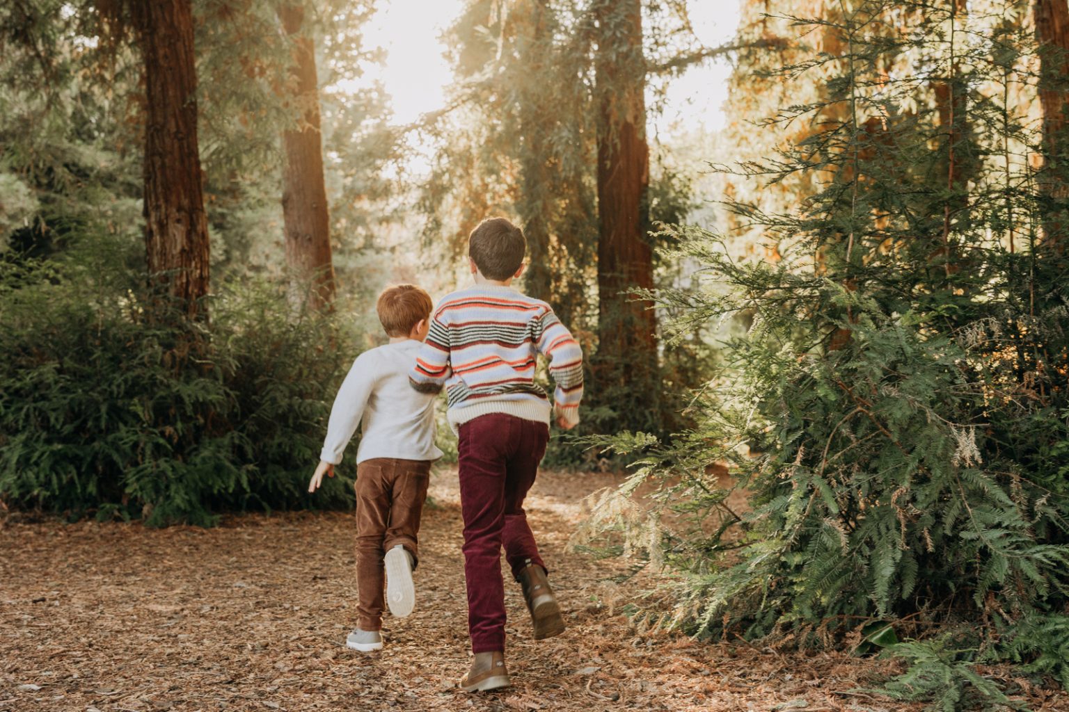 Brea Redwood Carbon Canyon Family - Zoom Theory