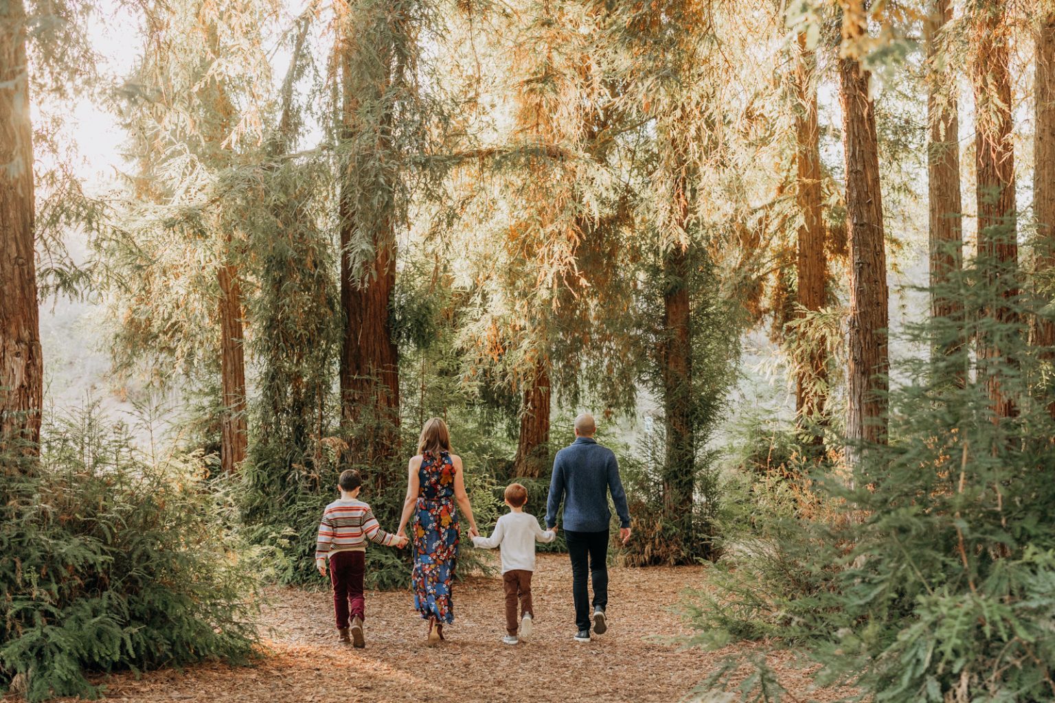 Brea Redwood Carbon Canyon Family - Zoom Theory