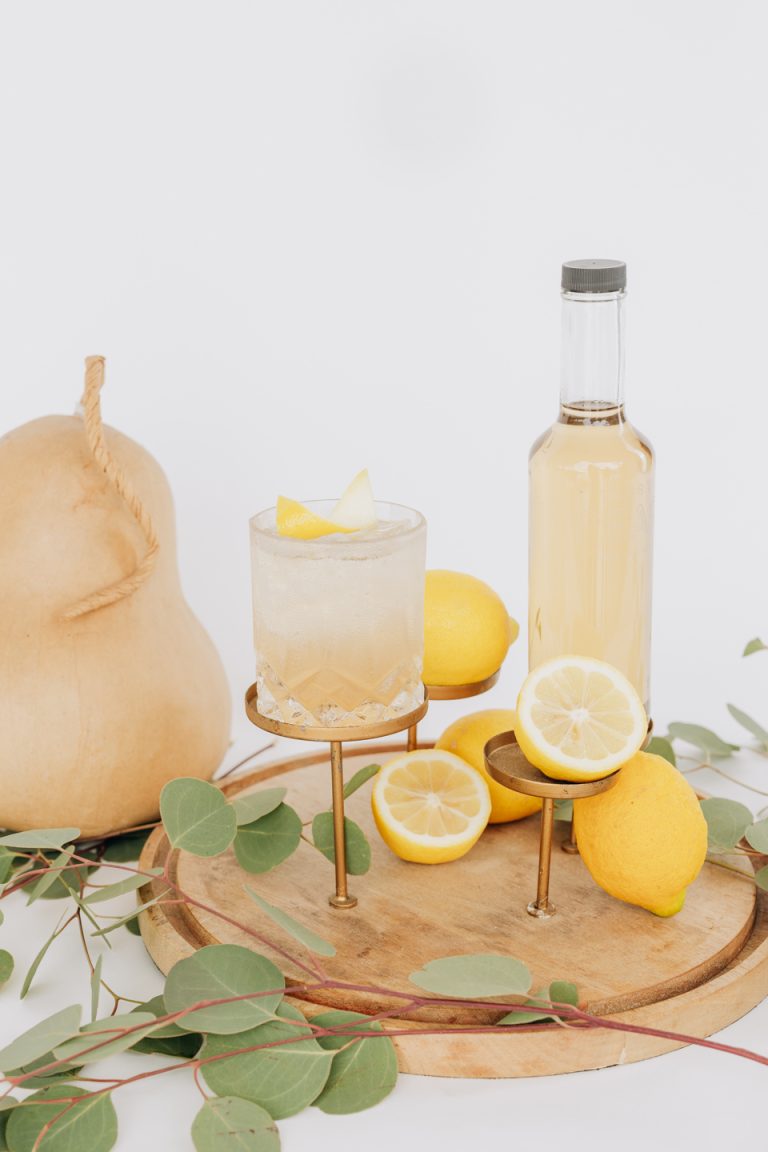 Made by Meg x Tipsy Pear Branding - Zoom Theory